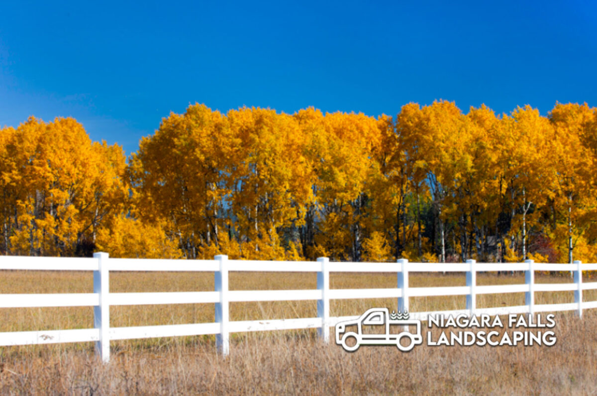 Niagara Falls Fence Companies | Sunshine Niagara Falls Landscaping